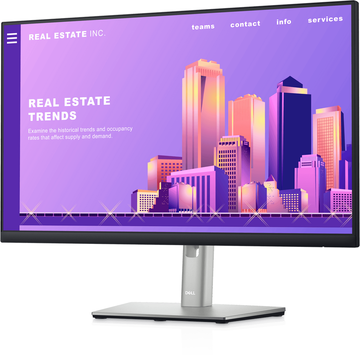 DELL P2422H 23.8-Inch FHD IPS 60Hz Monitor – Ennap.com